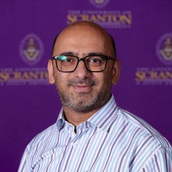 Farshad Merrikh Bayat